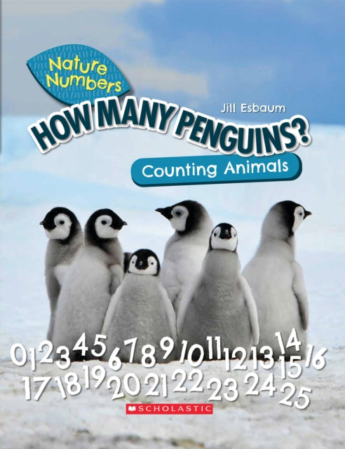 Esbaum Jill - How Many Penguins?: Counting - Hardcover – Book Delivered
