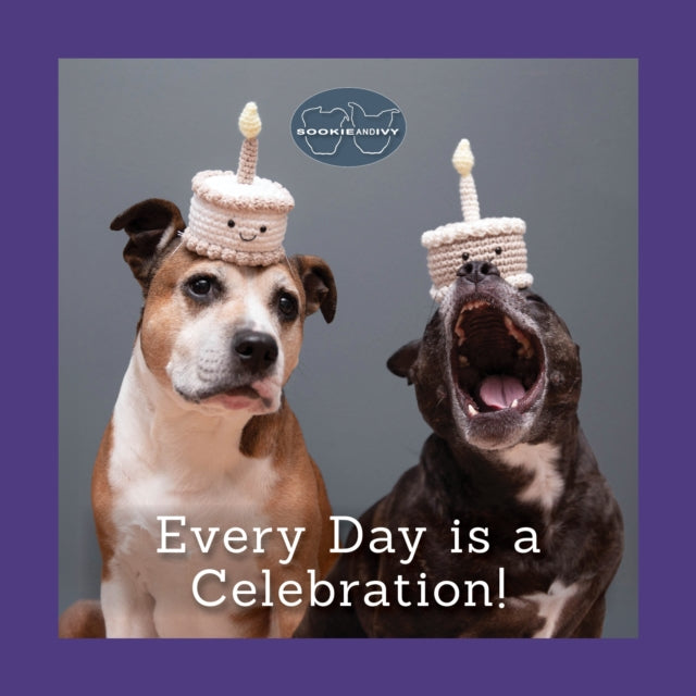 Oja Jani - Sookie And Ivy Every Day Is A - Hardcover – Book Delivered
