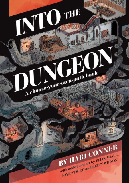 Conner Hari - Into The Dungeon A Choose - Your - Paperback – Book Delivered