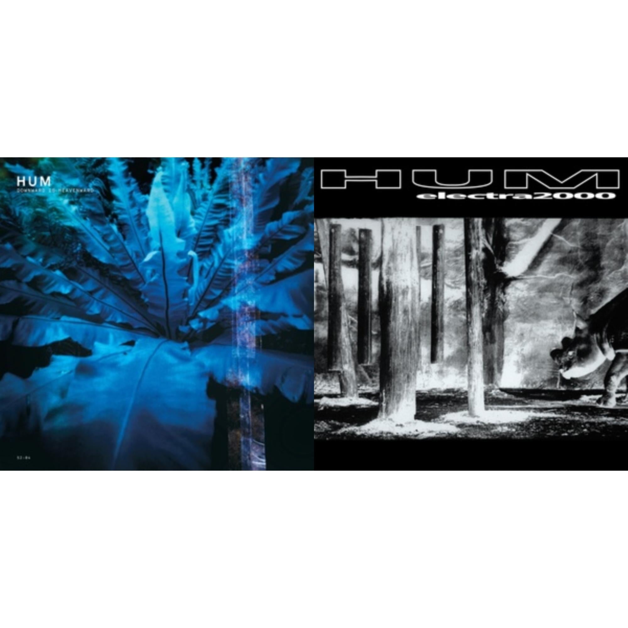 Hum - Downward Is Heavenward (2LP) & Electra 2000 (2LP) – Book Delivered