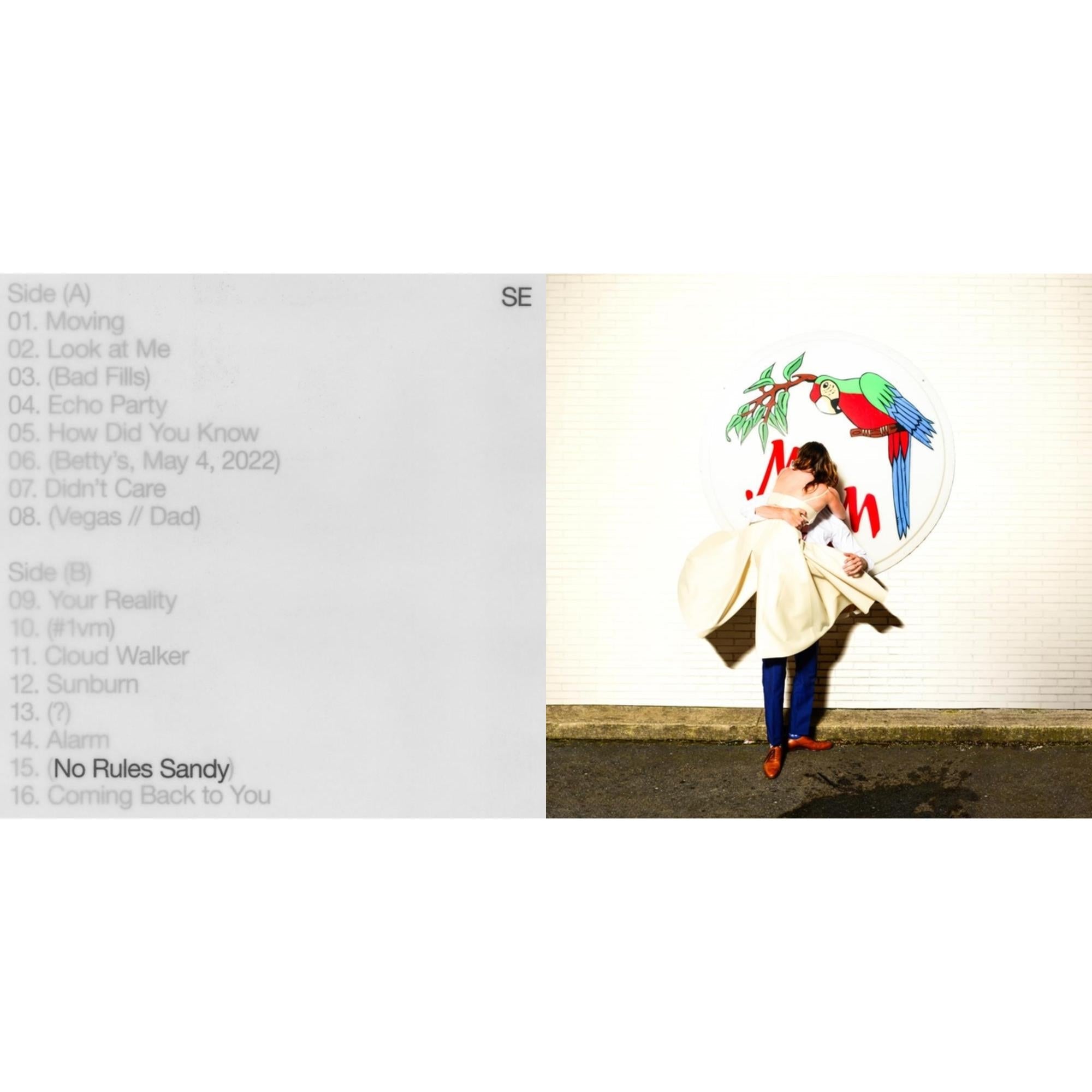Sylvan Esso - No Rules Sandy & What Now - LP Vinyl Bundle – Book Delivered